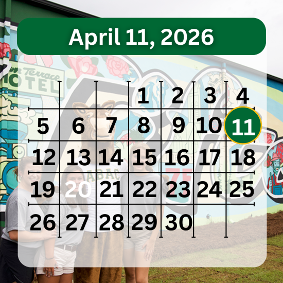 Visit ABAC - Stallion Day