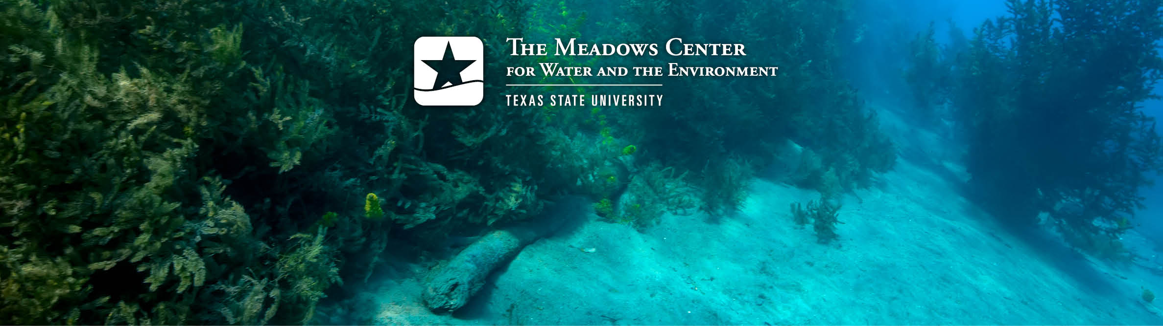 Participant Registration Fee